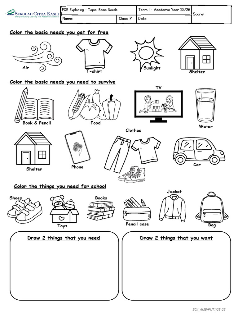 Basic Needs Activity for P1 Students | PDF