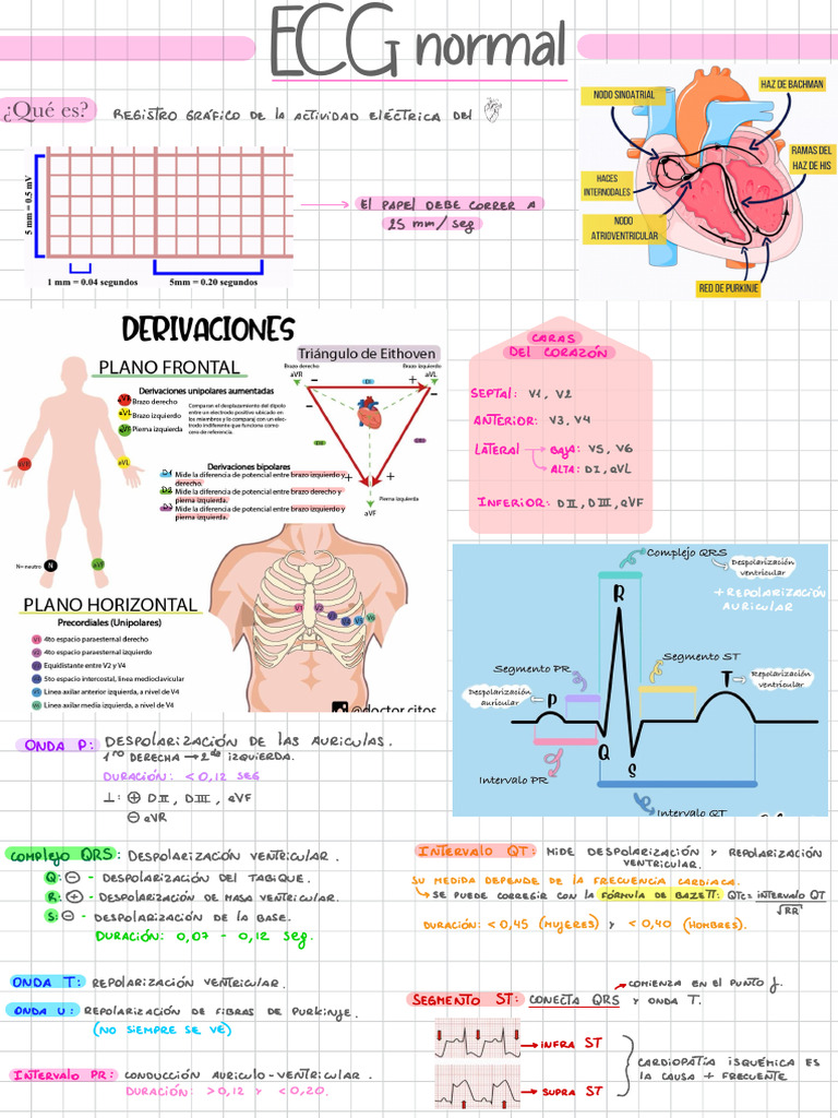 Guía del ECG Normal y sus Componentes | PDF | Electrofisiologia ...