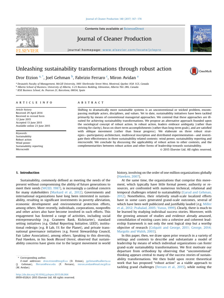 Unleashing Sustainability Transformations Through Robust Action | PDF ...