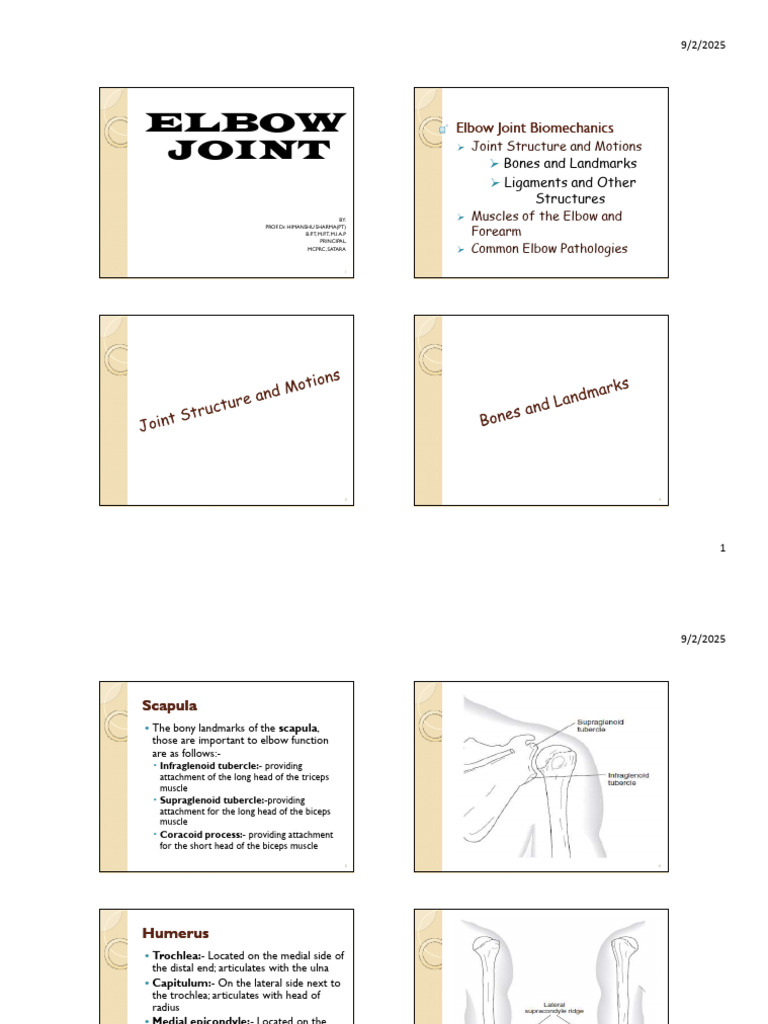 Elbow Joint Biomechanics Handout | PDF | Elbow | Anatomical Terms Of Motion