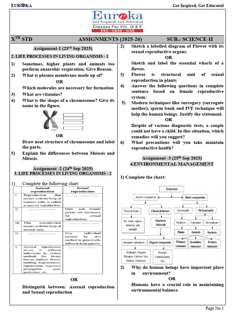 XTH SB Science-II Assignment | PDF | Reproduction | Power Station