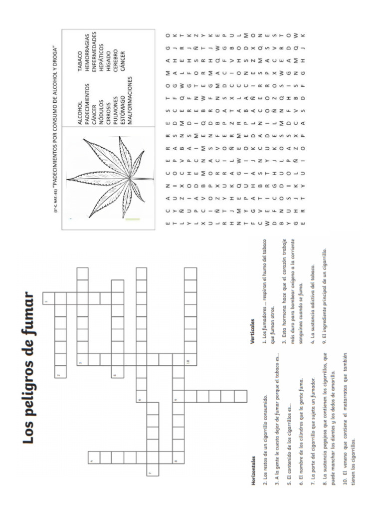 Sopa Letras y Cruci | PDF