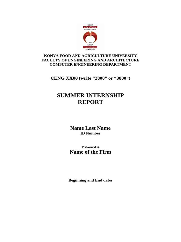 CENG summerInternshipReportTemplate | PDF | Computer Programming | Software