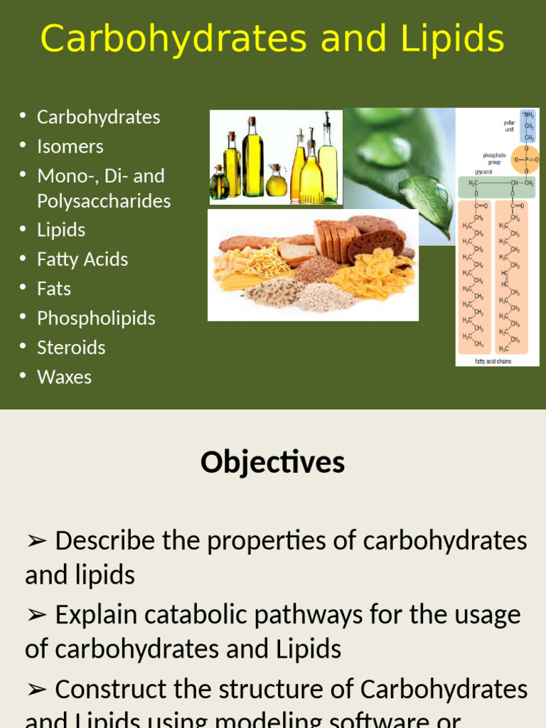 Bio11 - Q1W3 - Lesson 1 - Carbohydrates and Lipids | PDF ...