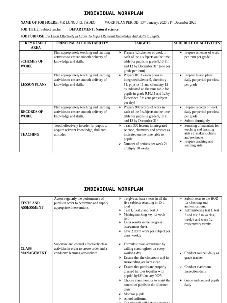 2025 Individual Work Plan | PDF | Teachers | Lesson Plan