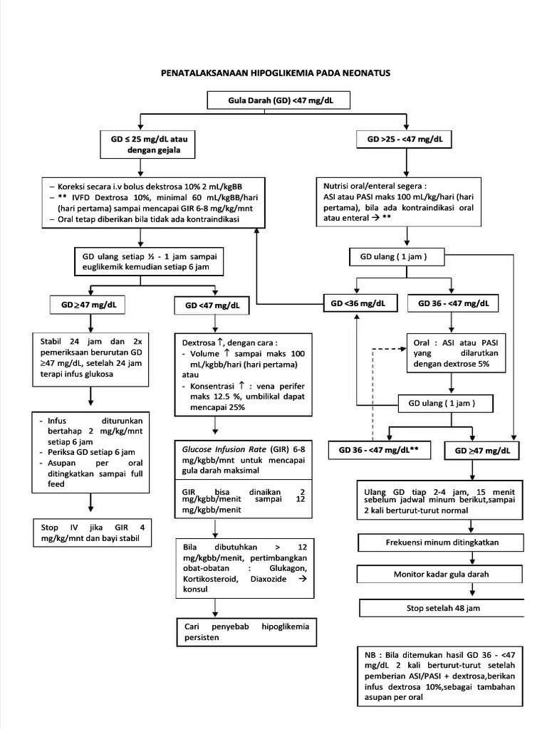 PDF Penatalaksanaan Hipoglikemia Pada Neonatus Compress | PDF