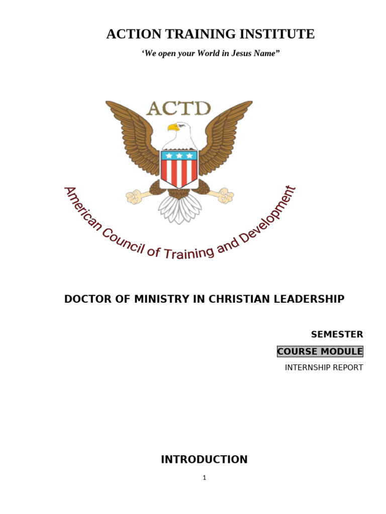 Internship Report Guidelines for DMin Program | PDF | Marketing Strategy