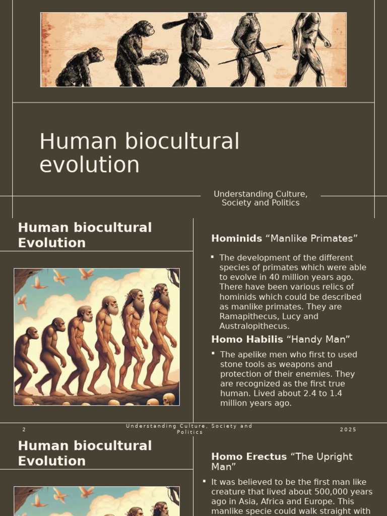 Human Biocultural Evolution | PDF | Human Evolution | Homo