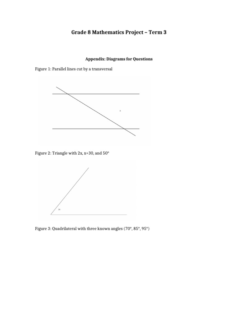 Grade 8 Maths Project Overview | PDF