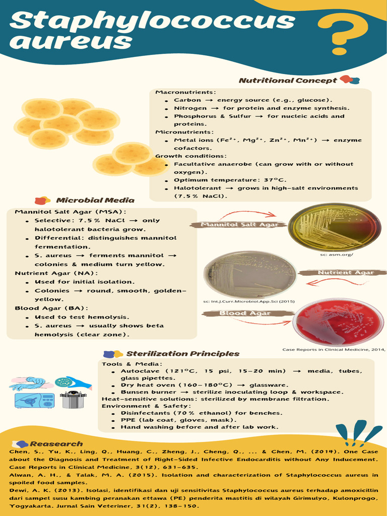 Staphylococcus Aureus | PDF | Staphylococcus Aureus | Staphylococcus