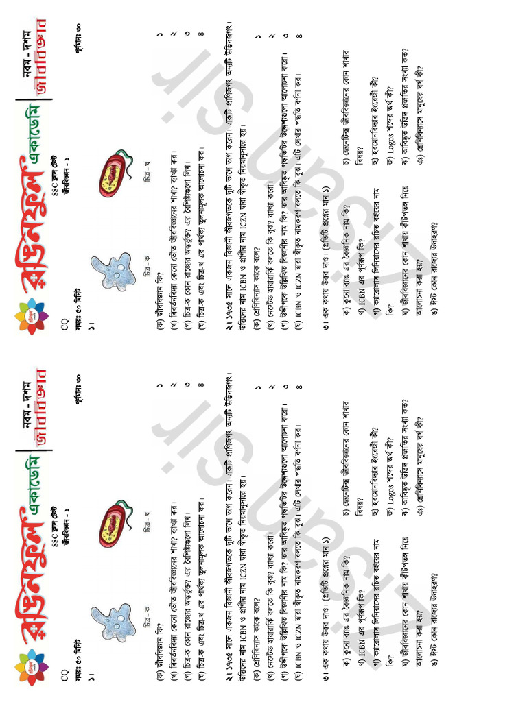 Class 9 Ch-1 | PDF
