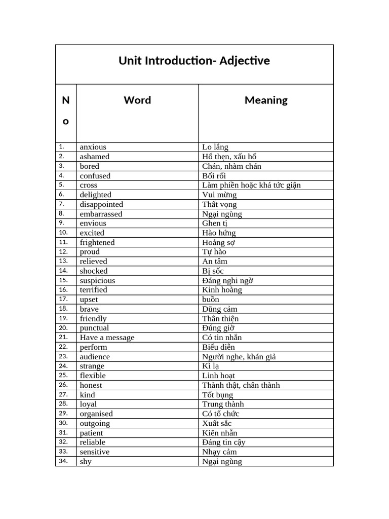 Unit Introduction - Vocabulary - Check - Adjective | PDF