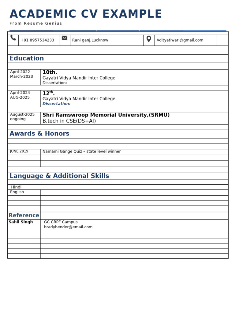 Academic CV Example | PDF