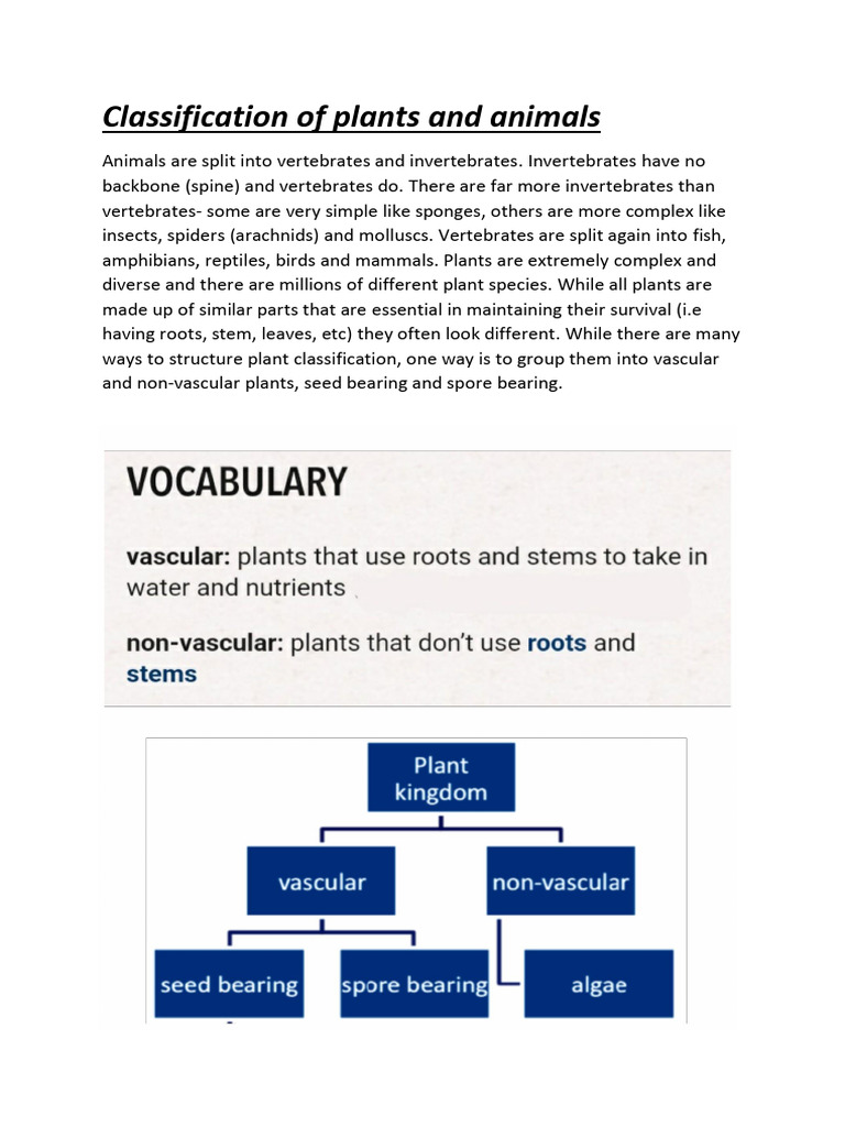 Classification of Plants and Animals | PDF