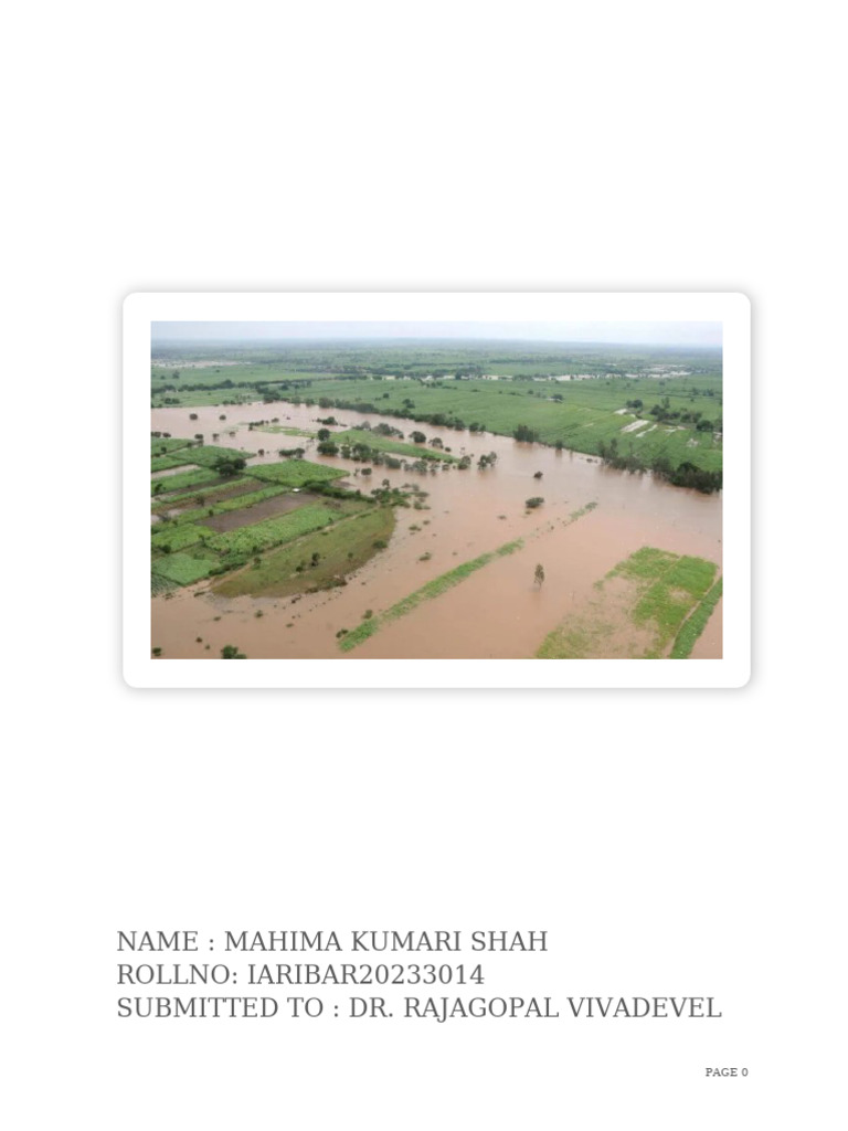 Flooded Soils Assingment | PDF | Soil | Flood