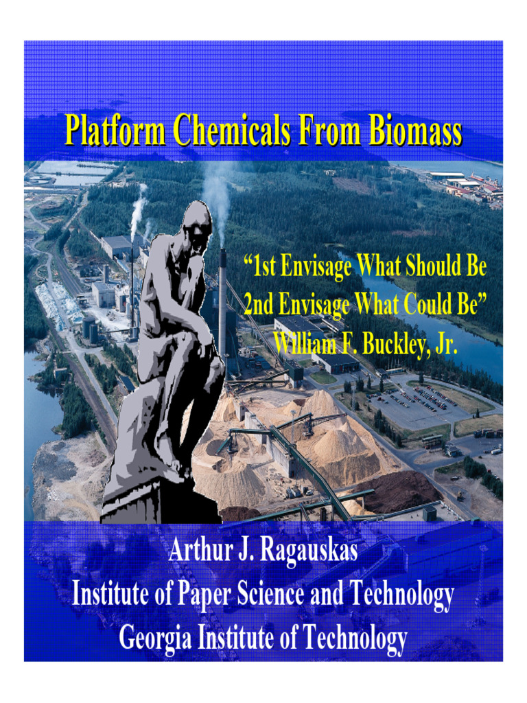 Forest Biorefinery: Biomass to Chemicals | PDF | Biorefinery | Pulp (Paper)