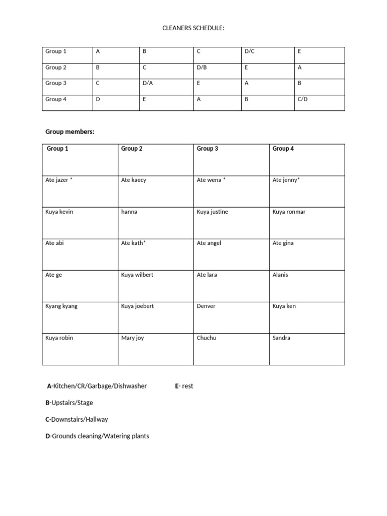CSC Cleaners | PDF