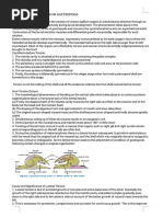 Function of Fish Nares Explained | PDF | Olfaction | Fish