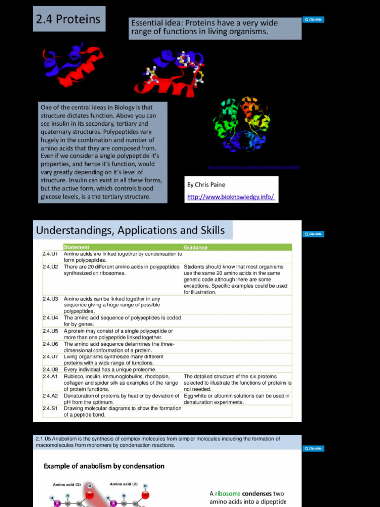 2.4. Proteins | PDF