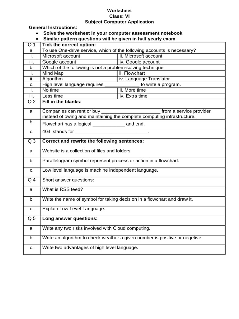 VI Computer Application Worksheet | PDF