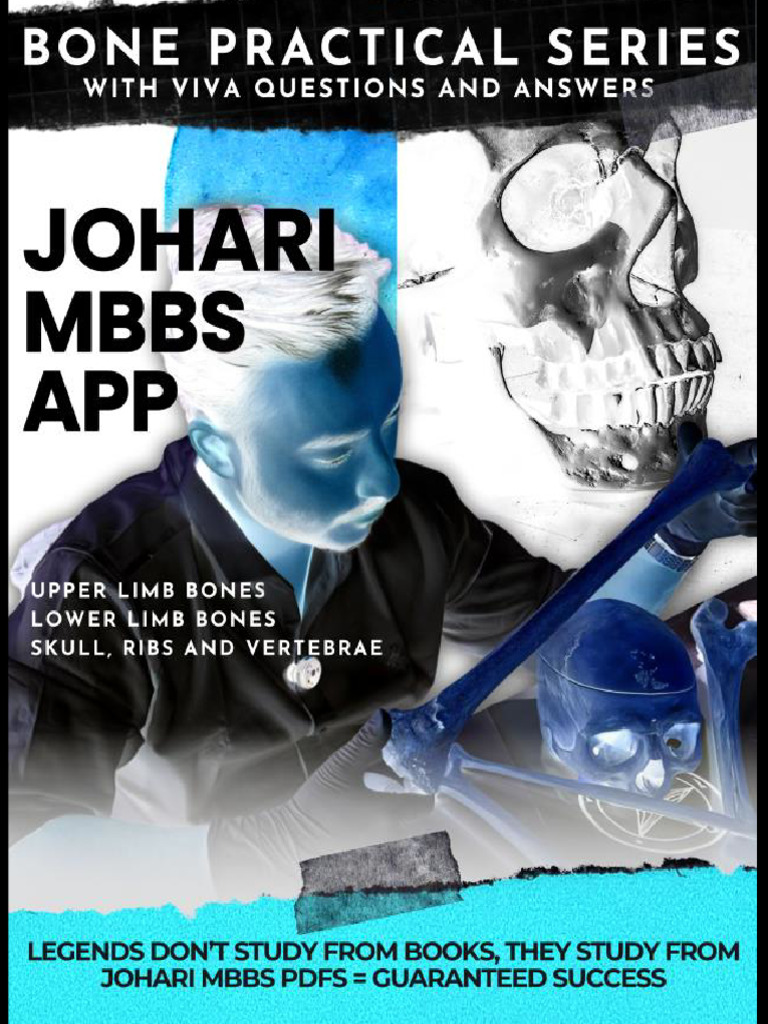 Identification of Major Human Bones | PDF