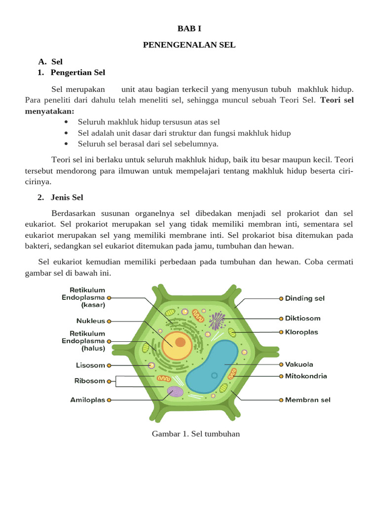 BAB 1 Pengenalan Sel | PDF