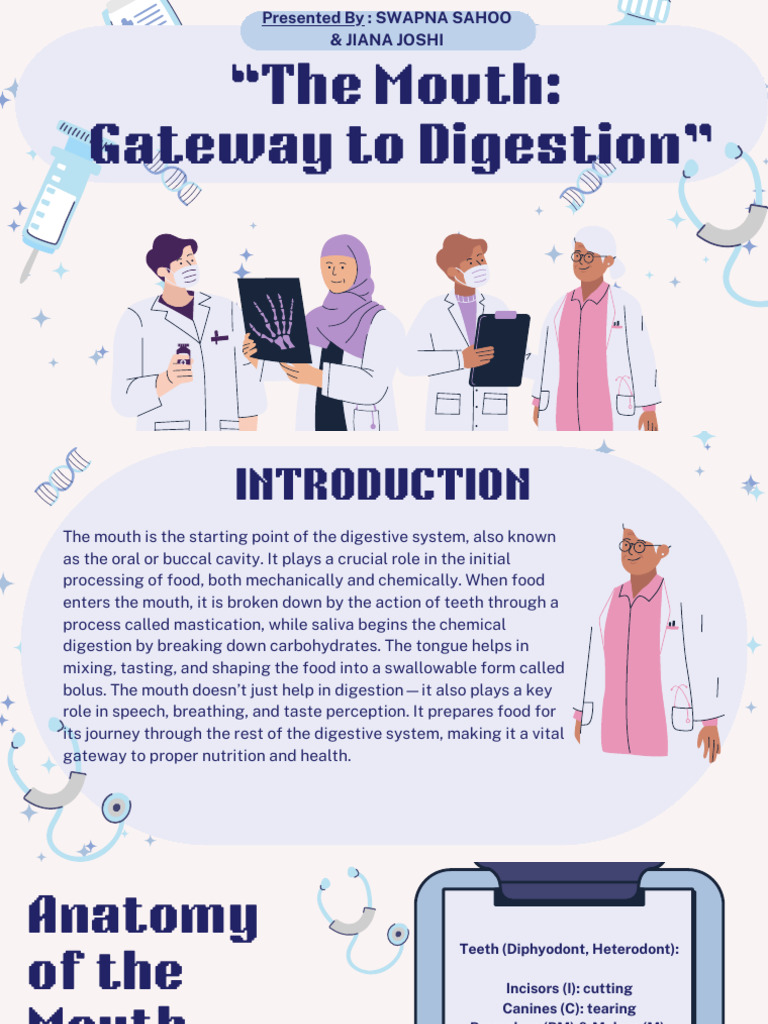 The Mouth: Key to Digestion & Health | PDF | Oral Hygiene | Digestion