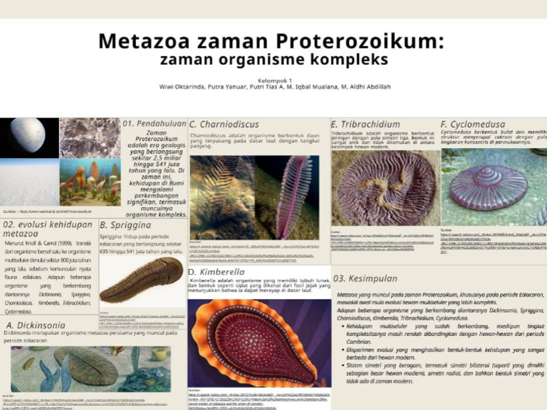 Poster Metazoa Zaman Proterozoikum - Kelompok 1 | PDF
