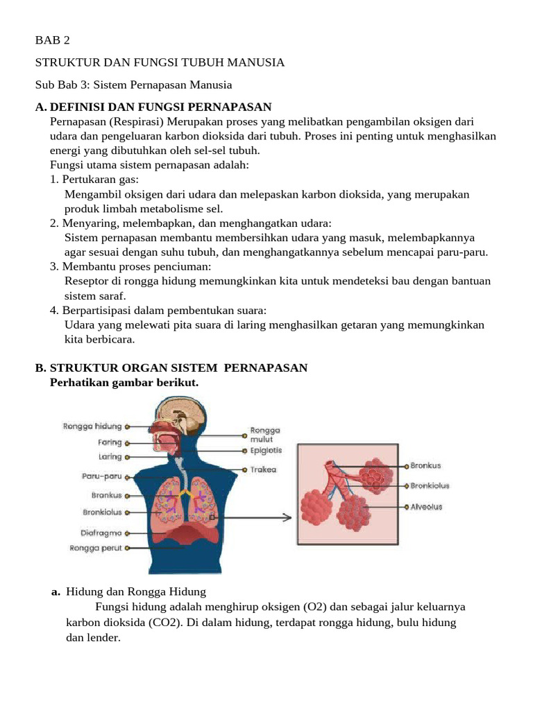 BAB 2 Subbab 3 Sistem Pernapasan | PDF