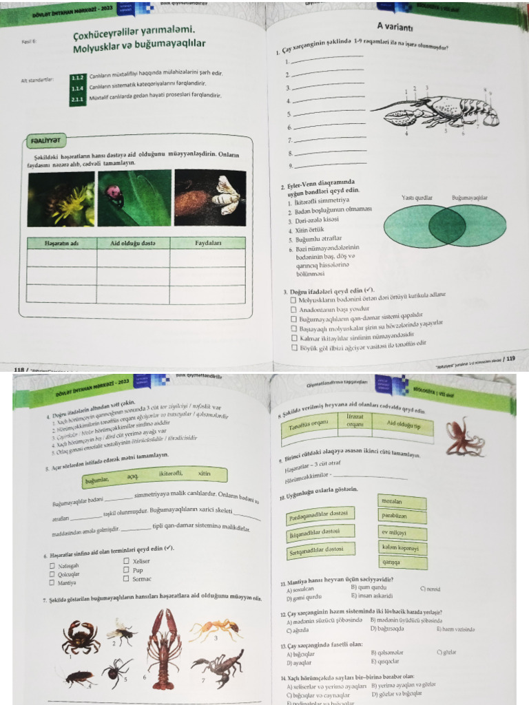7-Ci Sinif Zoologiya Sona Qədər. | PDF