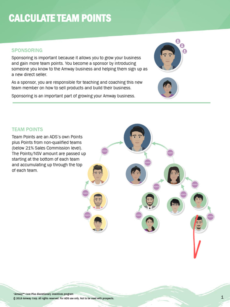 Amway Sales Commission & Team Points Guide | PDF