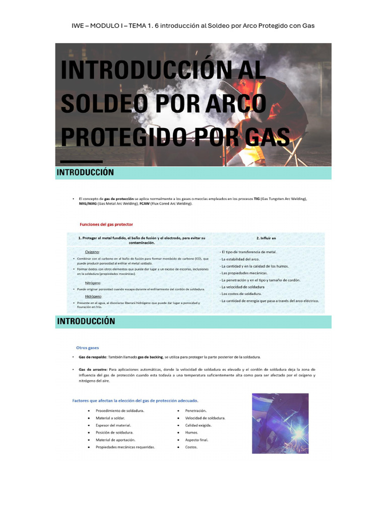 MODULO I – TEMA 1.6 Introducción Al Soldeo Por Arco Protegido Con Gas | PDF