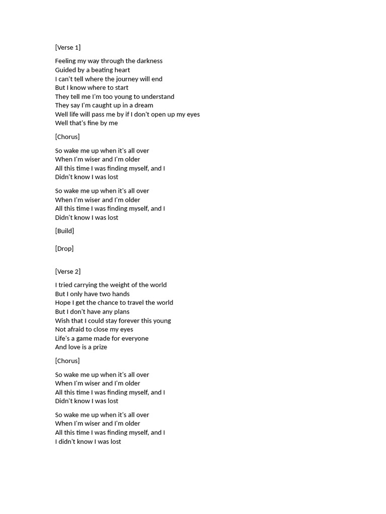 Wake Me Up Song | PDF