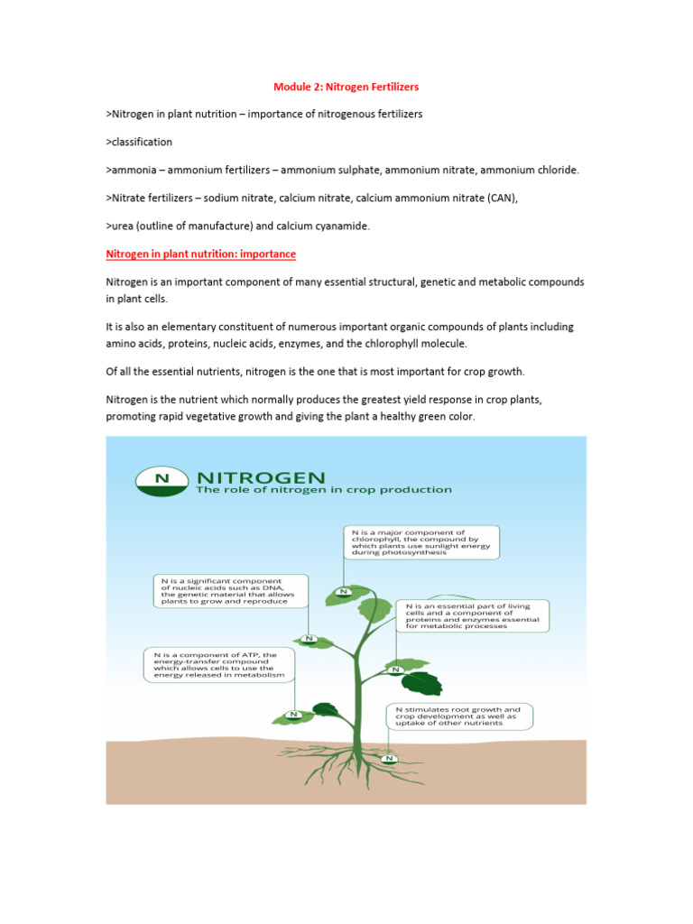 Understanding Nitrogen Fertilizers | PDF | Plant Nutrition | Fertilizer
