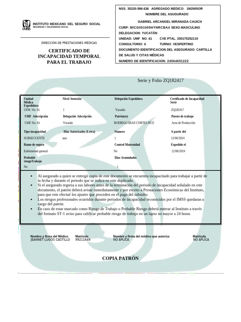 Certificado de Incapacidad Temporal IMSS | PDF