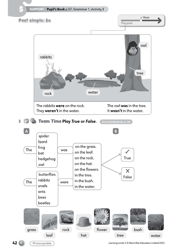 Repaso 5to - Unit 5 | PDF