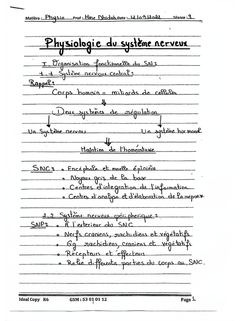 1 Systéme Nerveux | PDF
