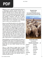 All About Sheep | PDF