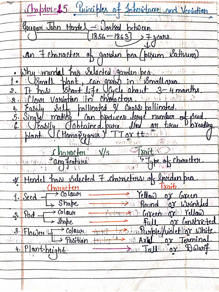 Principal of Inheritance Class 12 Part-1 | PDF