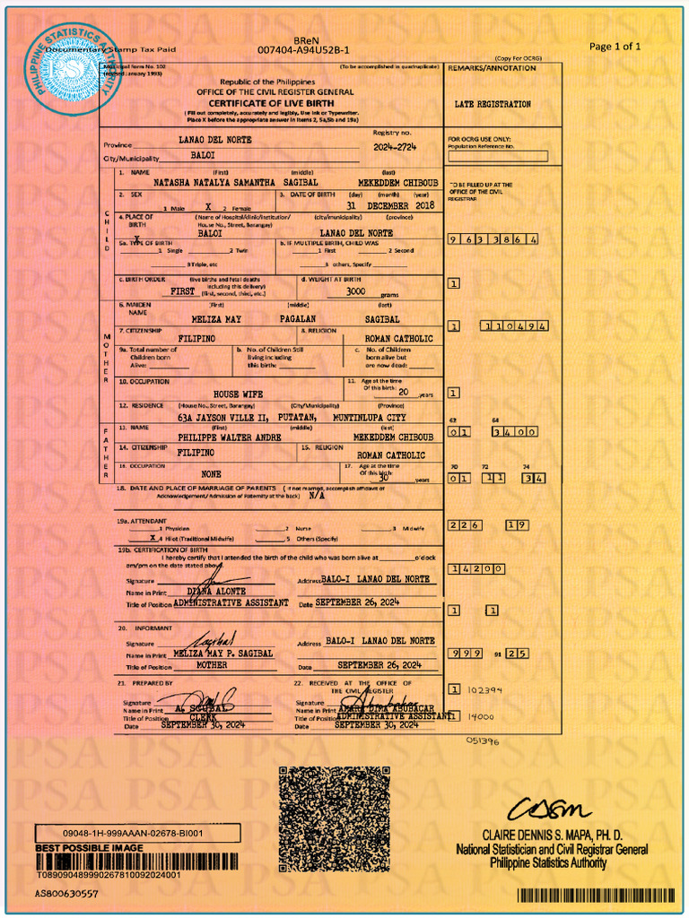 Documentary Stamp Tax Receipt | PDF