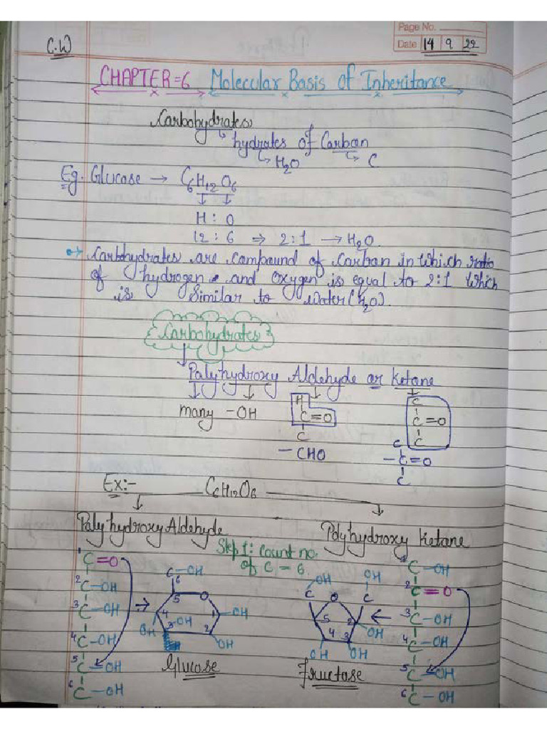 Class - 12 Molecular Basis of Inheritance - Compressed-1 | PDF