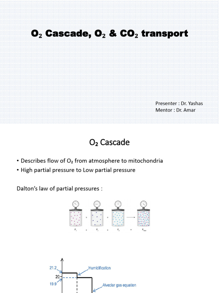 o2 co2 | PDF | Red Blood Cell | Carbon Dioxide