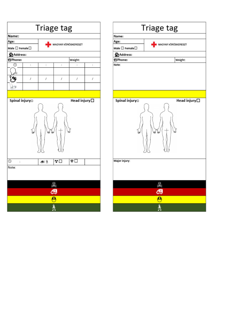 Triage Tag Template for Injuries | PDF