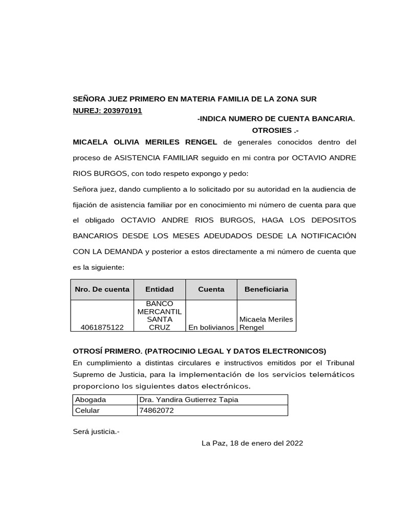 Numero de Cuenta Asistencia Familiar Micaela Meriles | PDF