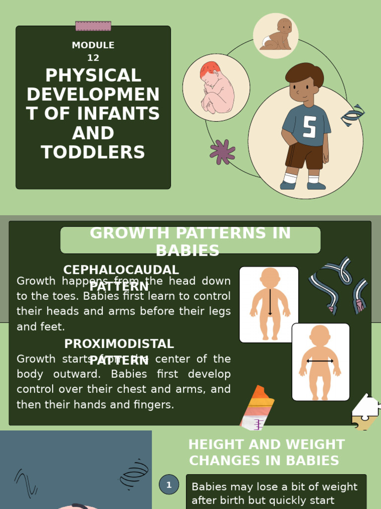 Physical Development of Infants and Toddlers 3 | PDF | Infants ...