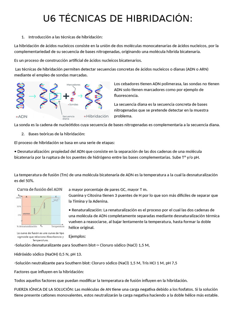 U6 BMCG Técnicas de Hibridación | PDF | Hibridación de ácido nucleico | Adn