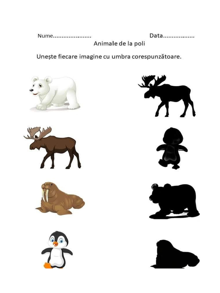 Animalele Polare | PDF