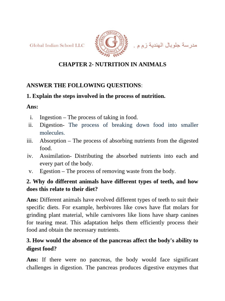 Steps and Types of Animal Nutrition | PDF | Digestion | Foods