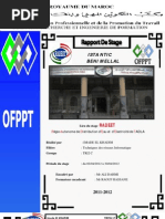 Présentation de La RADEEF | PDF | la communication