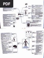Class 10 Biology Chapter 1 Notes | PDF